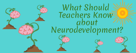 What Should Teachers Know about Neurodevelopment? | Kennedy Krieger ...