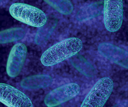 Genomics Core | Kennedy Krieger Institute